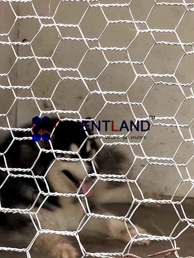 20 Gauge 150 Ft Poultry Hex Netting , Chicken Wire Netting