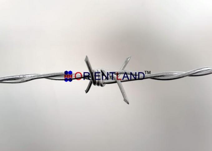 Hot Dipped Galvanized Barbed Wire for Mesh Security Fencing