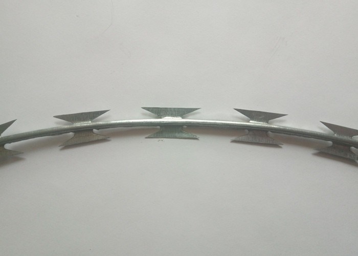 10m Razor Blade Fencing Wire / Constantine Razor Wire Roll BTO-11 BTO-22